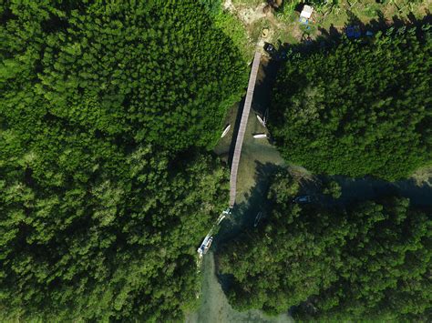 Aerial View Of Mangrove Forest Nusa Lembongan Island Indonesia