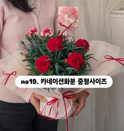 도시정원 공릉꽃집 노원꽃집 서울과기대꽃집 공트럴파크 이색꽃다발 어버이날 스승의날 카네이션 꽃다발 꽃배달 19카네이션화분