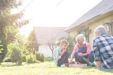 Grandparents And Grandson Eating Stock Image F Science