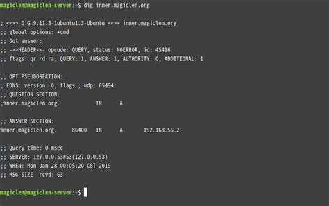 使用ubuntu Server架設網域名稱伺服器 Dns Domain Name Server Magiclen