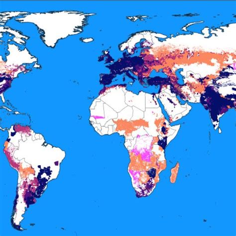 Global Phosphorus Application Download Scientific Diagram