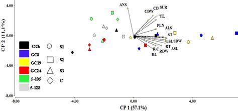 Principal Component Analysis Plot References Ans Average Number Of