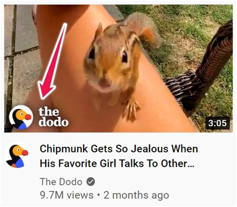 How Does The Youtube Algorithm Work In 2024
