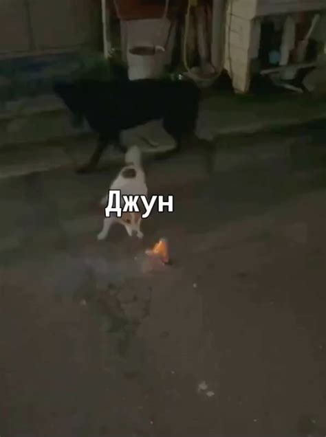 Станислав Андреев Posted On Linkedin