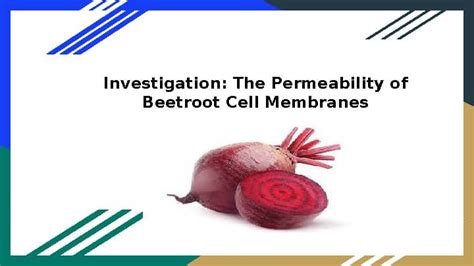 Permeability In Beetroot Membranes Powerpoint By The Sciencelab Tpt