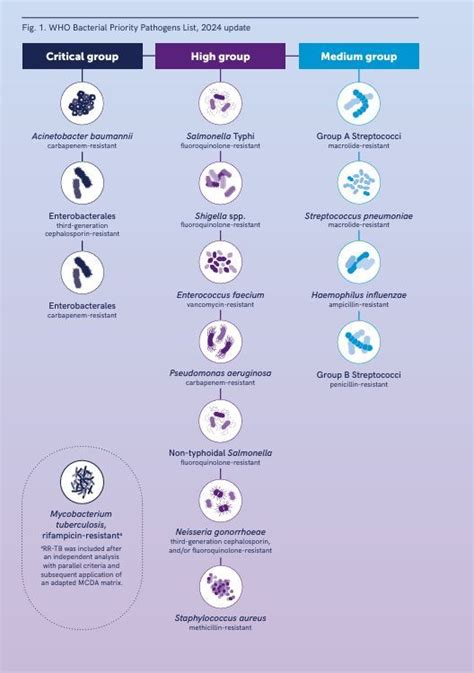 Who Bacterial Priority Pathogens List 2024 Salda Posted On The Topic Linkedin