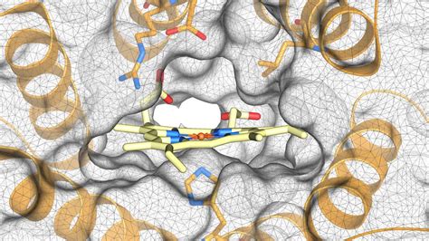 Design Of Heme Binding Enzymes • Baker Lab