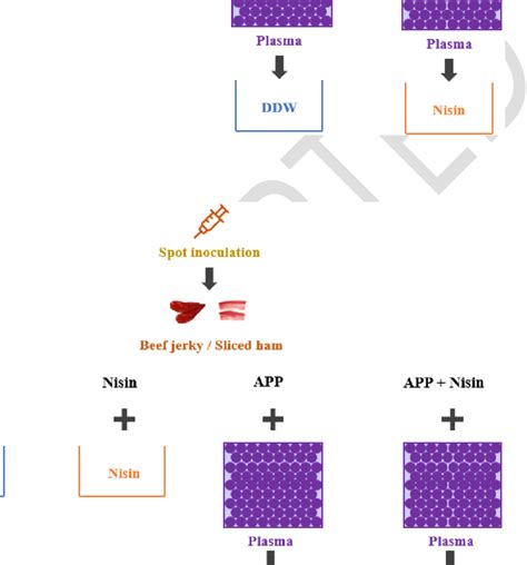 Schematic Diagram Of Bactericidal Test Treatment For Bacterial Solution Download Scientific