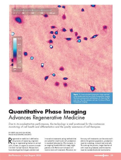 Biophotonics Article On How Qpi Advances Regenerative Medicine Phi Blog