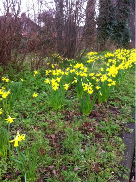 The Movable Feast Added A New Photo The Movable Feast