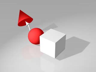The Rigid Body Simulation