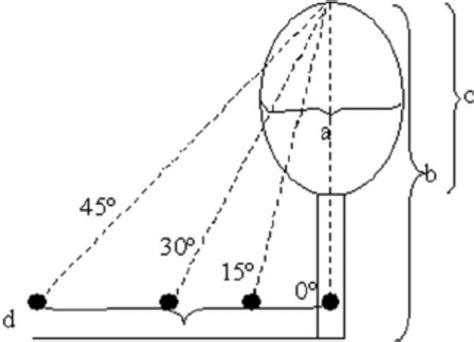Measures Of Variables For Each Tree Include Dbh And A Crown Width Download Scientific