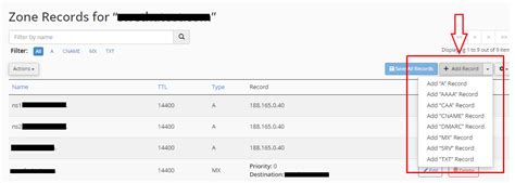 how to use cpanel zone editor to manage dns records