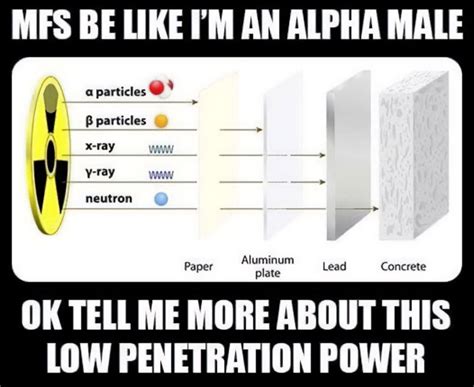 50 Hilarious Science Memes To Delight All You Brainiacs Out There New