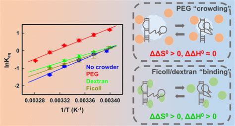 Effects Of Molecular Crowders On Single Molecule Nucleic Acid Folding