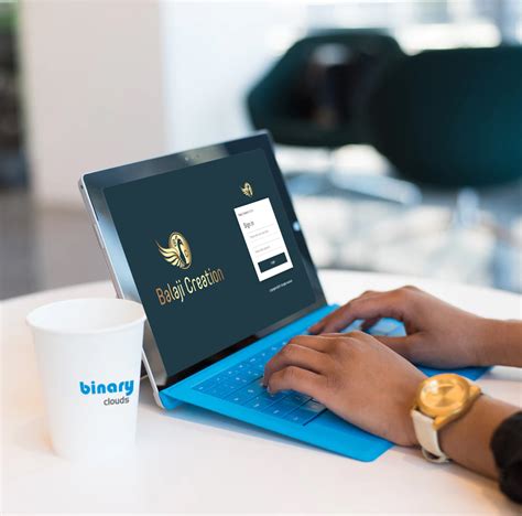 Binary Clouds Professional Web Design Web Development Search Engine Optimization Domain