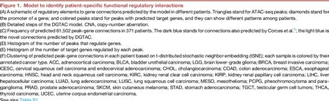 Figure 1 From Recapitulation Of Patient Specific 3d Chromatin Conformation Using Machine