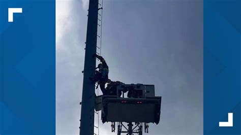 Bald Eagle Impaled On Radio Tower Rescued By Fire Department