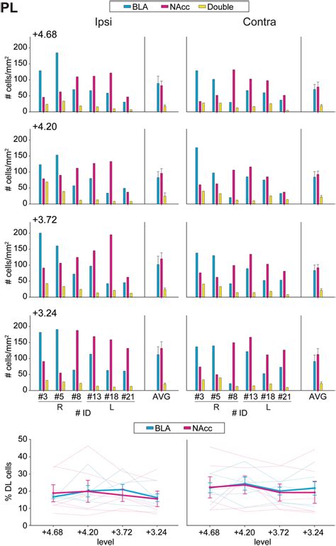 Analyses Of Pl Collateral Projections To The Bla Andor The Nacc The Download Scientific