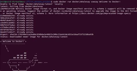 Docker Basics For Beginners Dev Community