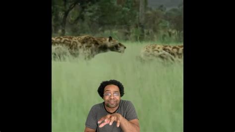 The Sabertooth Cat Youtube