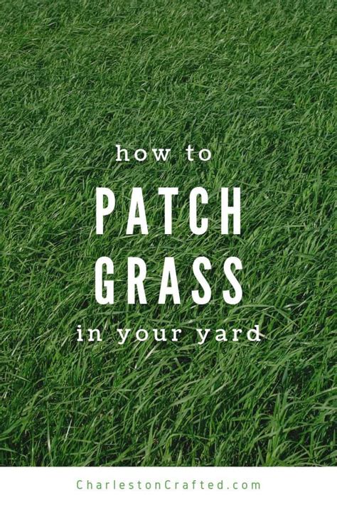 How To Patch Bare Spots In Your Grass