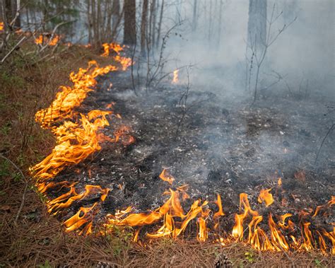 Rock Creek Fire Maps My Xxx Hot Girl