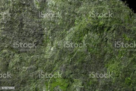 녹색 추상적인 텍스처입니다 녹색 회색 배경입니다 추상 텍스처와 디자이너에 대 한 배경 닫고 매크로 녹색 거친 추상 질감의 볼 0