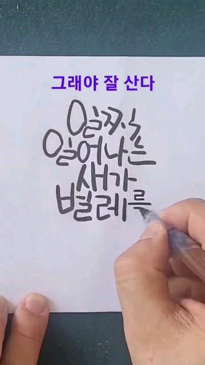 좋은글귀 멋글씨 따라쓰기 캘리그라피 따라쓰기 손글씨 잘 쓰기캘리그라피 멋글씨 손글씨 붓펜캘리그라피 좋은글귀