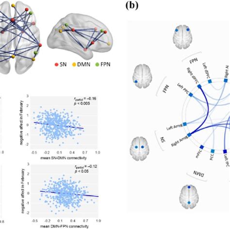 resting state functional network connectivity of na at t2 a visual