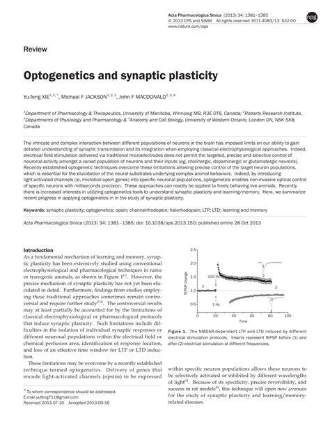Pdf Optogenetics And Synaptic Plasticity