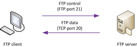 Port Numbers And Network Protocols