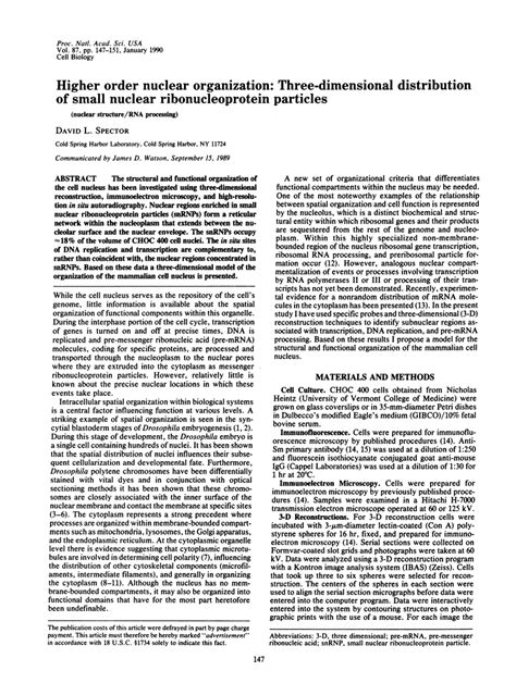 Higher Order Nuclear Organization Three Dimensional Distribution Of