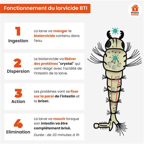 Larvicide Moustique Avis Le Test Protecthome