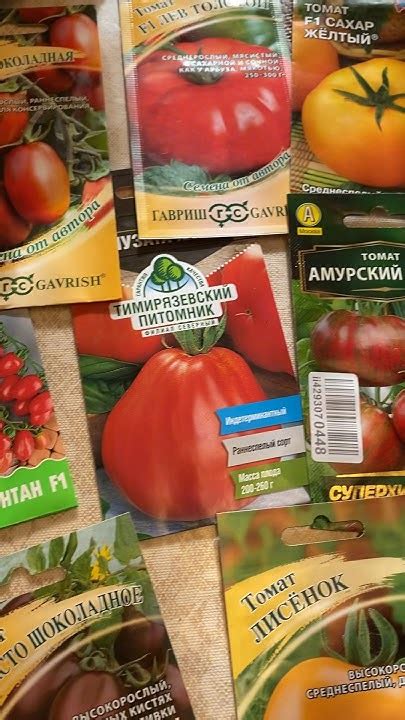 11 МАРТА СЕЮ ТОМАТЫ рекомендации томаты сеем семена рассада рассадатоматов посевтоматов