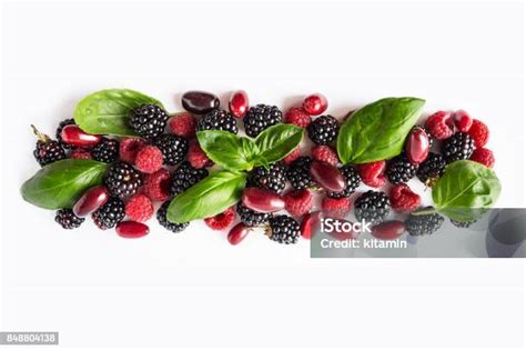 검정과 빨강 딸기 흰색 절연 잘 익은 블랙베리 라스베리 Cornels와 바 질은 흰색 바탕에 나뭇잎 텍스트 복사 공간의 열매 최고의 볼 수 있습니다 0명에 대한 스톡 사진
