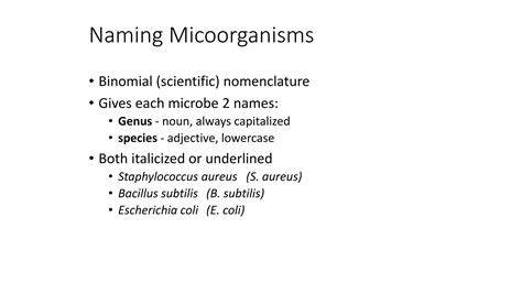 Classification Of Microorganisms Microbiology Ppt Classification Of Microorganisms Microbiology Ppt