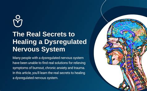 Nervous System Real Pictures