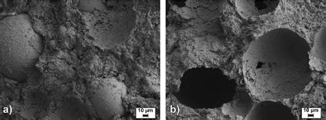 Sem Images Take From The Fracture Surface Of The Sample Made By Using
