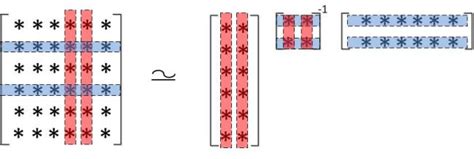 Skeleton Decomposition Am 221 Blog