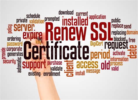 Renew Ssl Certificate Word Cloud And Hand With Marker Concept Stock Illustration Illustration