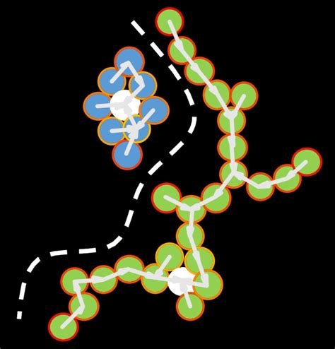 With A New Artificial Intelligence Method Humans And Machines Can Analyse Complex Biomedical
