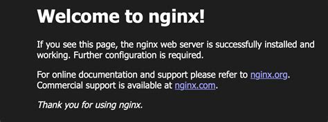 terraform cannot connect to docker daemon provisioning an nginx