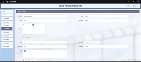 基于ssm vue高校电子作业提交与批改系统 开题报告 程序 论文 java csdn博客