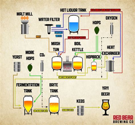 Beer Fermentation Diagram
