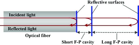 Structure Of A Typical Fiber Optic Multi Cavity F P Sensor Download Scientific Diagram