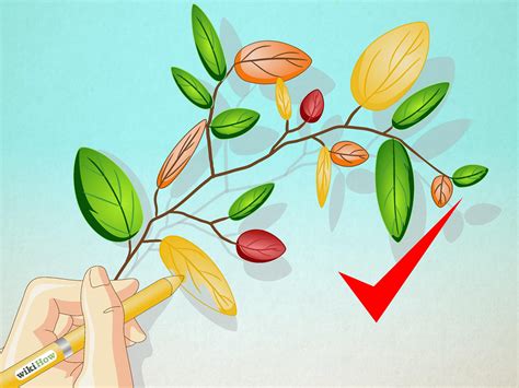 How To Draw Leaves 15 Steps With Pictures WikiHow
