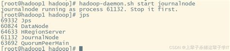 【hadoop高可用集群搭建】配置和启动hadoop高可用集群，解决单点故障问题 csdn博客