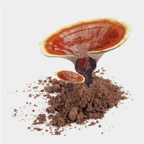 Ganoderma Extract At ₹ 1600 Kg Ganoderma Extract In Ghaziabad Id 2856794796212