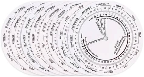 Calculate Due Date From Pregnancy Test At Sylvia Massey Blog